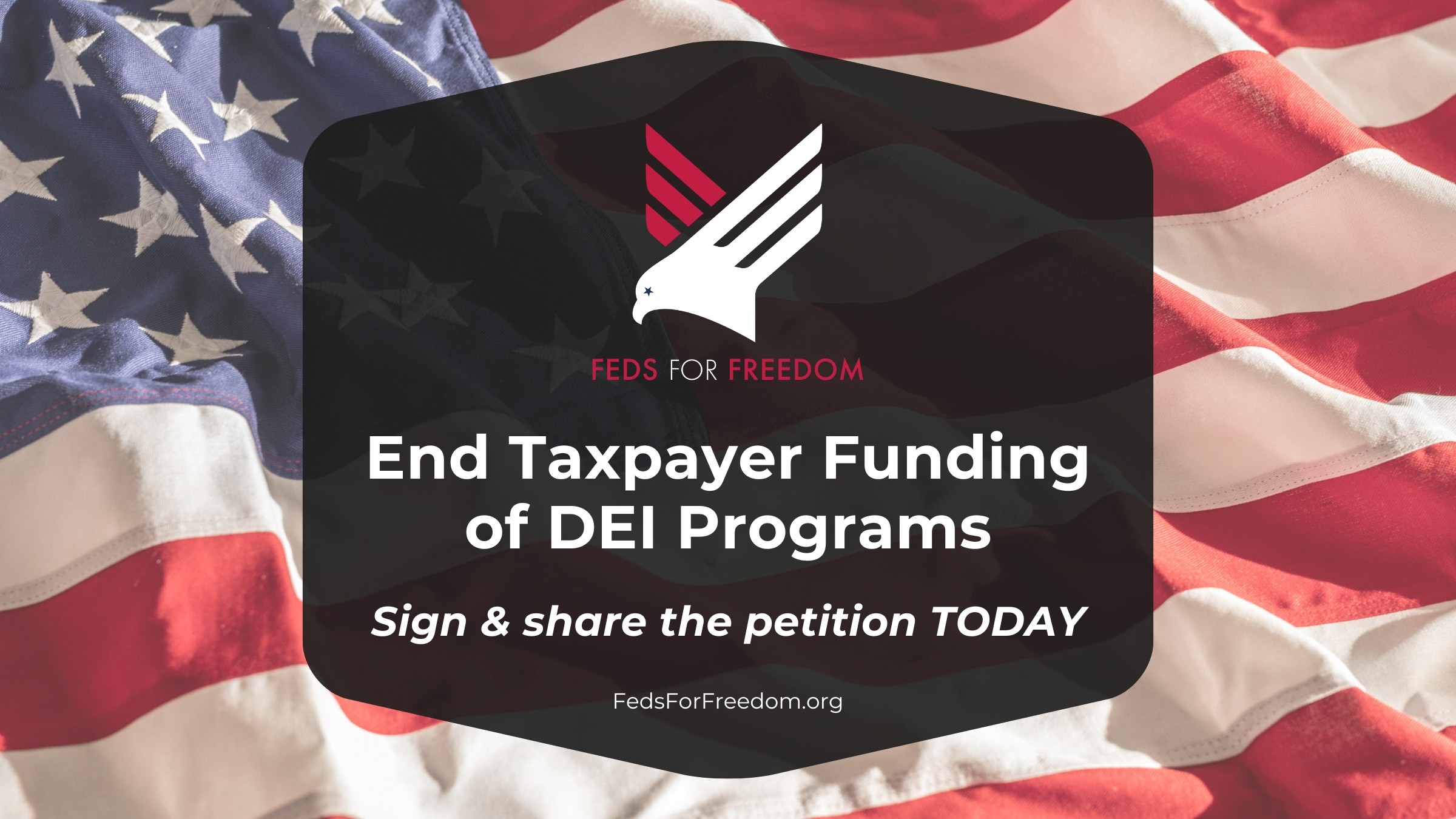 End Taxpayer Funding of DEI Programs